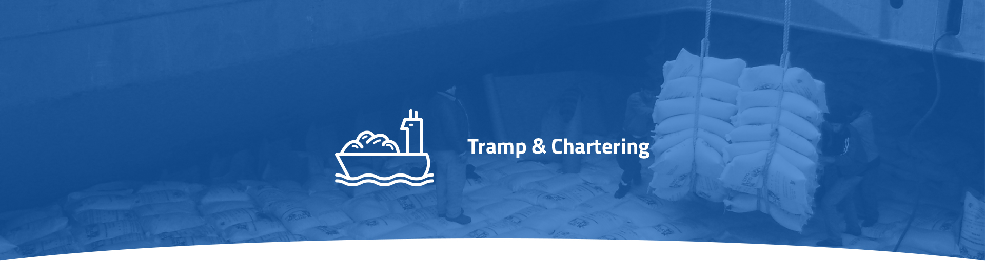 Tramp & Chartering | Delfino Global